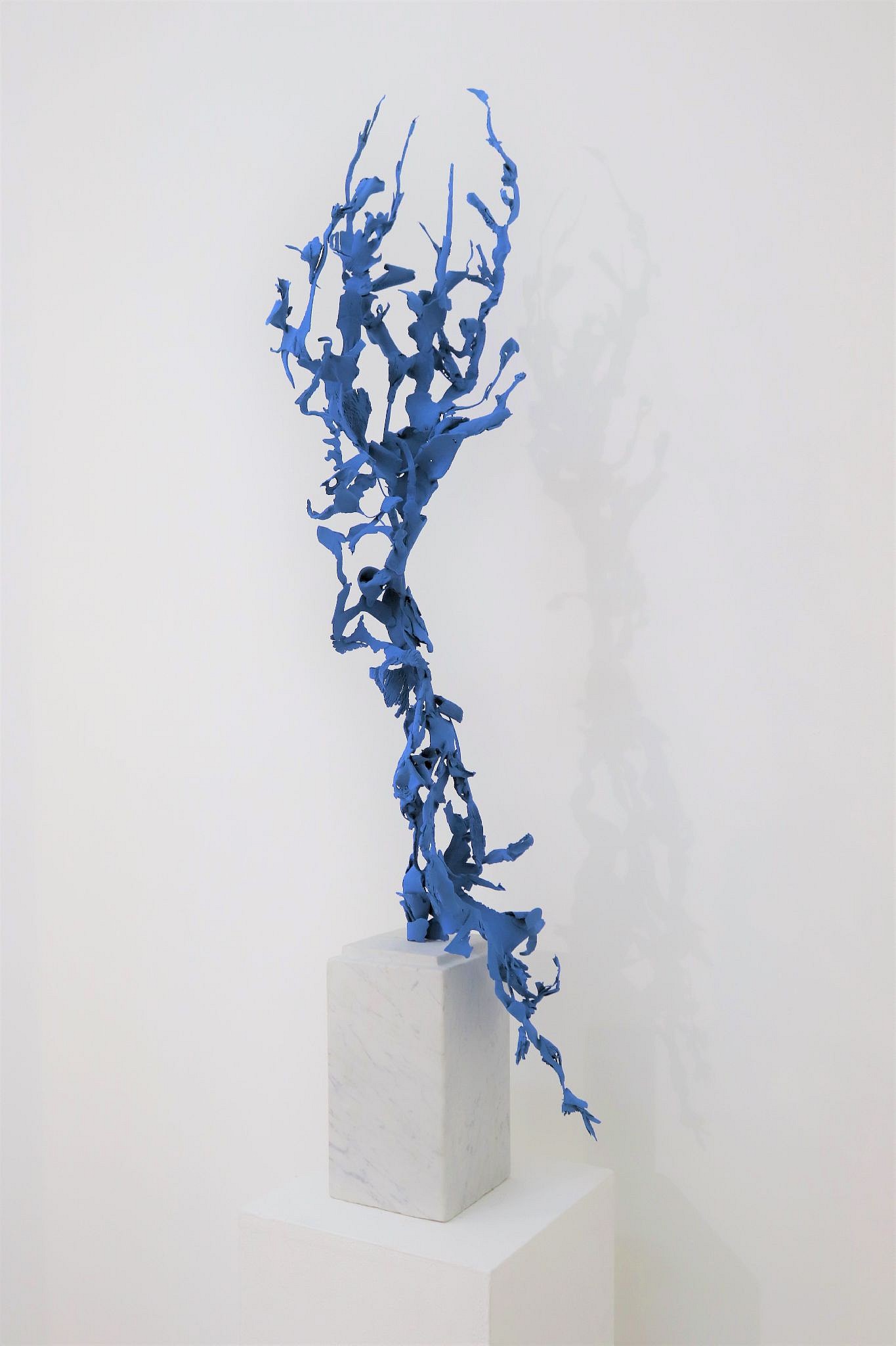 Arabella Caccia | Flight | | KNYSNA FINE ART