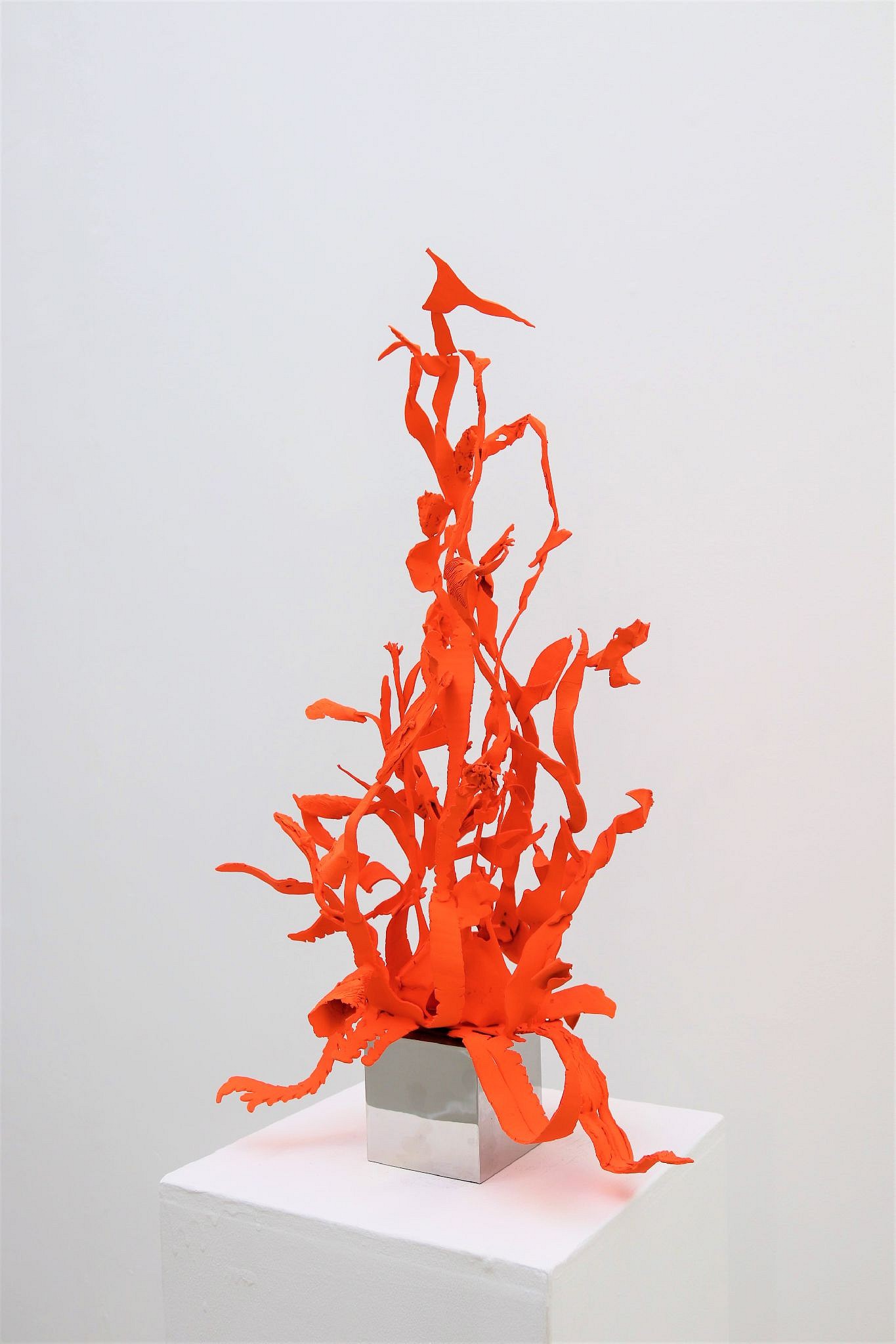 Arabella Caccia | Flight | | KNYSNA FINE ART