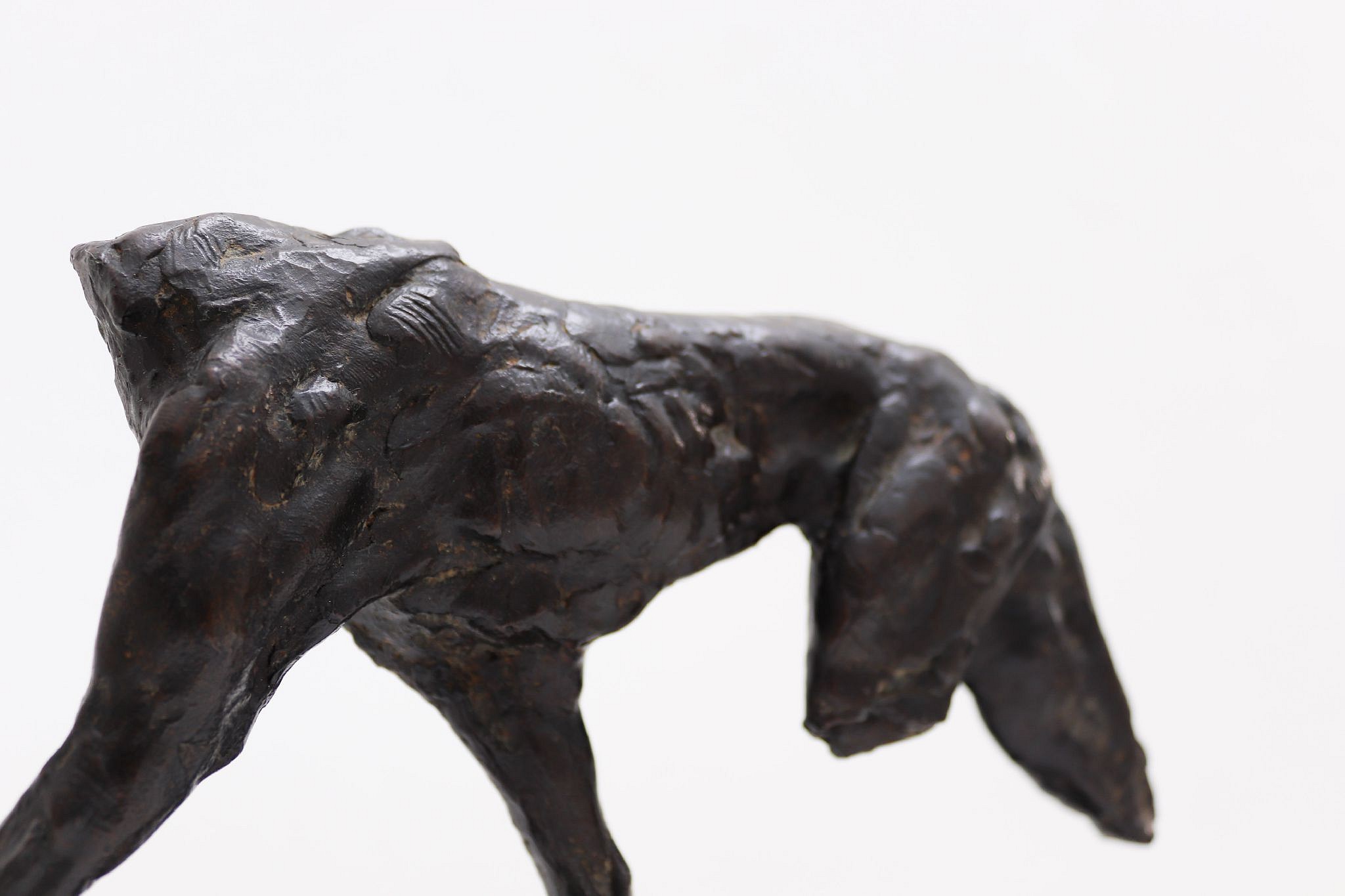 Dylan Lewis | Awakening leopard (S354) | | KNYSNA FINE ART
