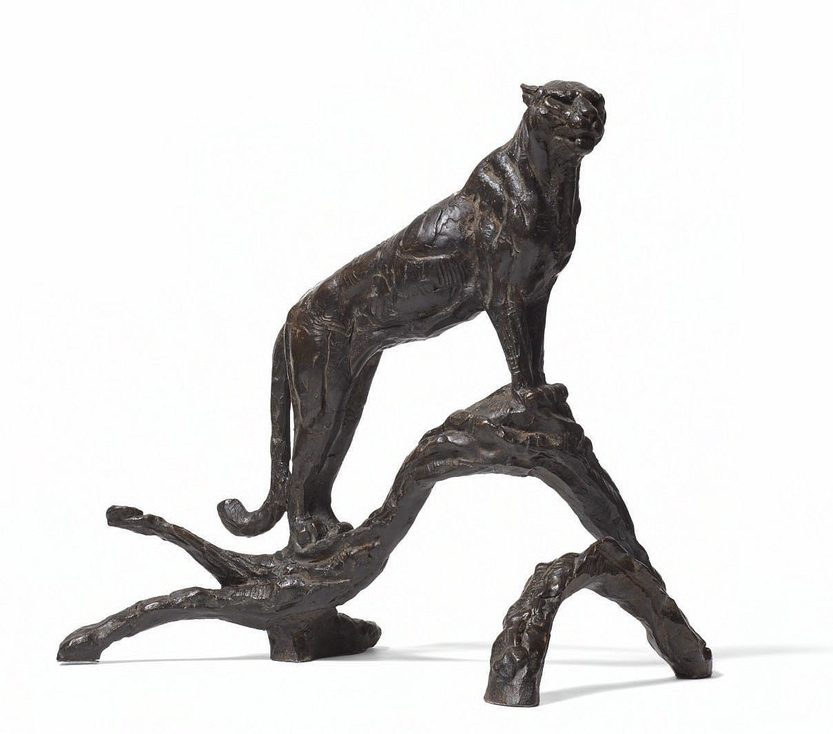 Dylan Lewis | Leopard Bust Miniature (S403) | | KNYSNA FINE ART